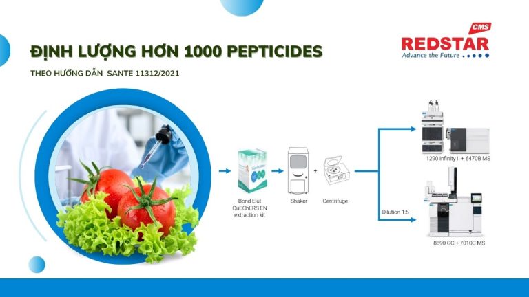 Trang chủ - REDSTAR-CMS